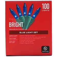 Festive Voice Indoor/Outdoor Blue Light Set | Walgreens