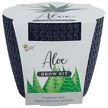 Buzzy Woven Planter Grow Kit - Aloe Black | Walgreens